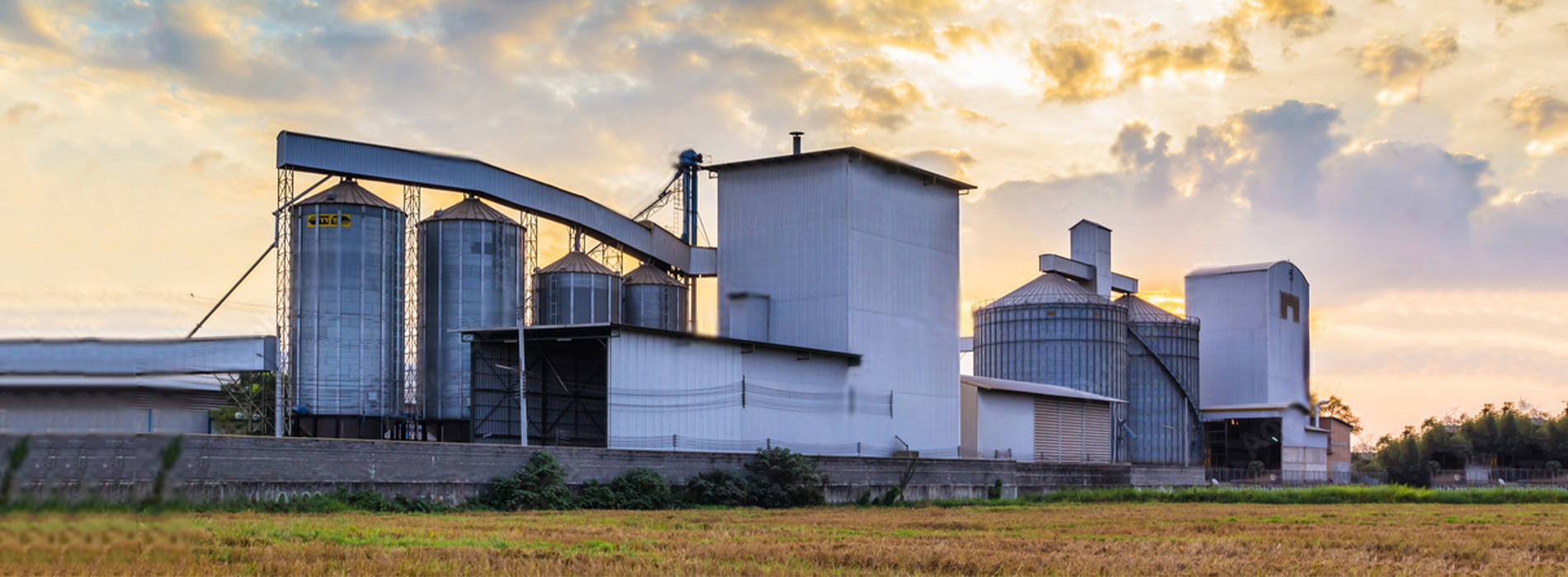 Goel Rice Mill